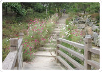 History - GangBuk-gu Office